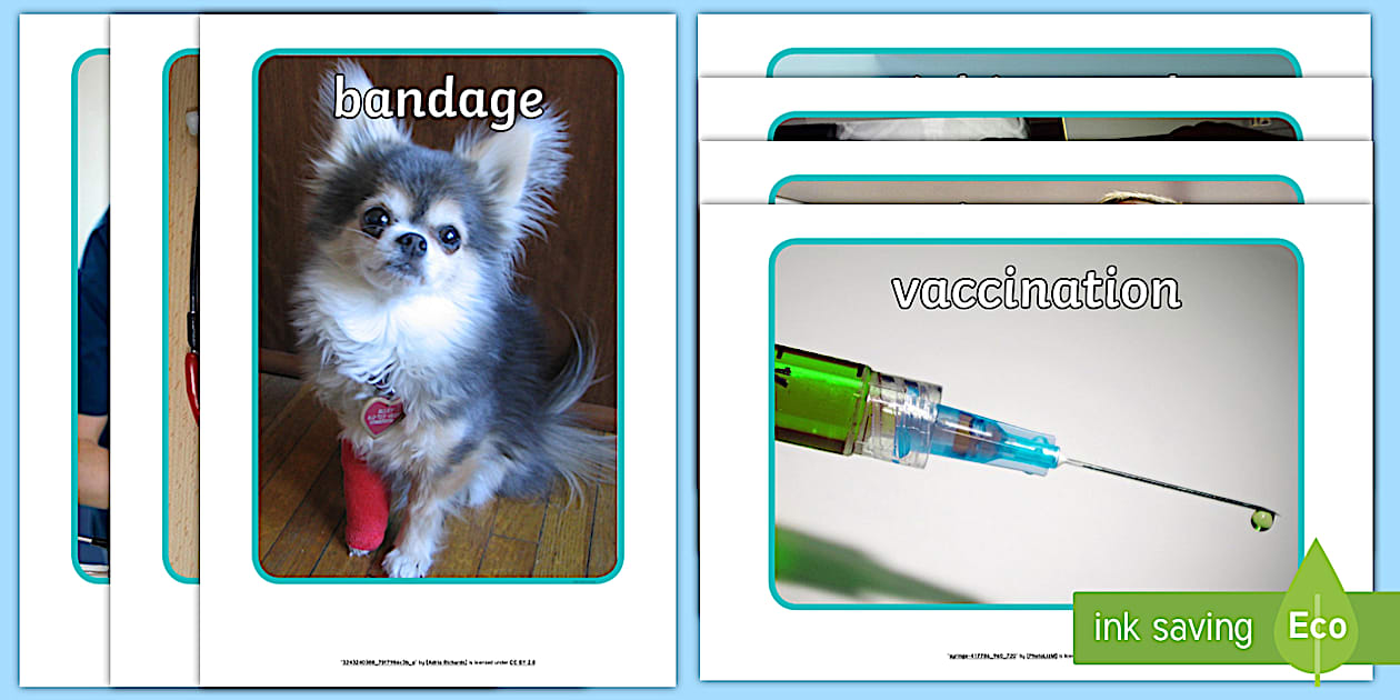 Vet's Surgery Display Photos (teacher made) - Twinkl