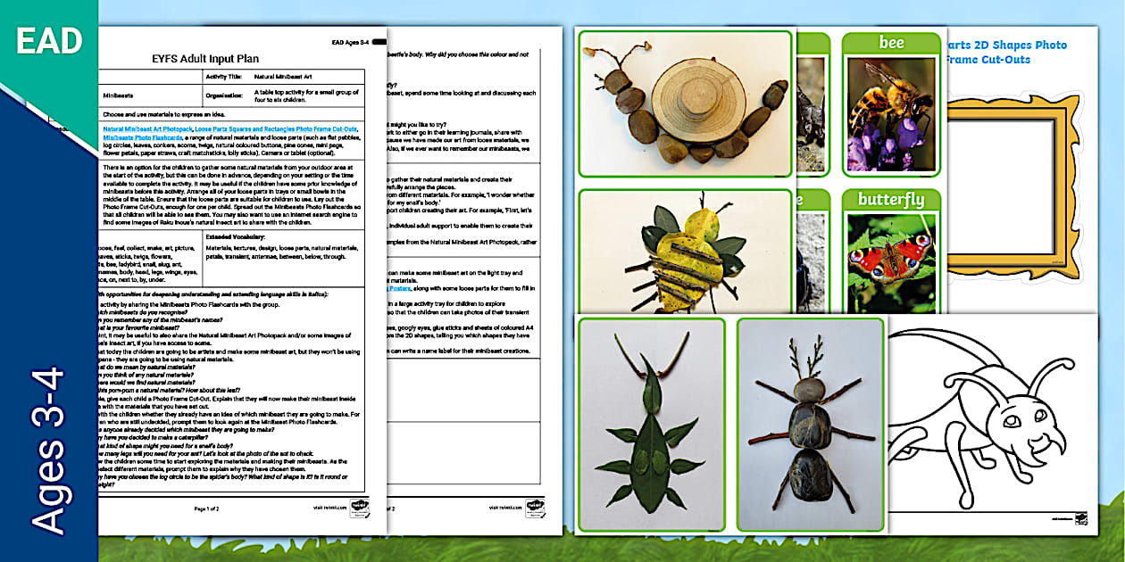 EYFS Natural Minibeast Art Adult Input Plan (3-4 years)