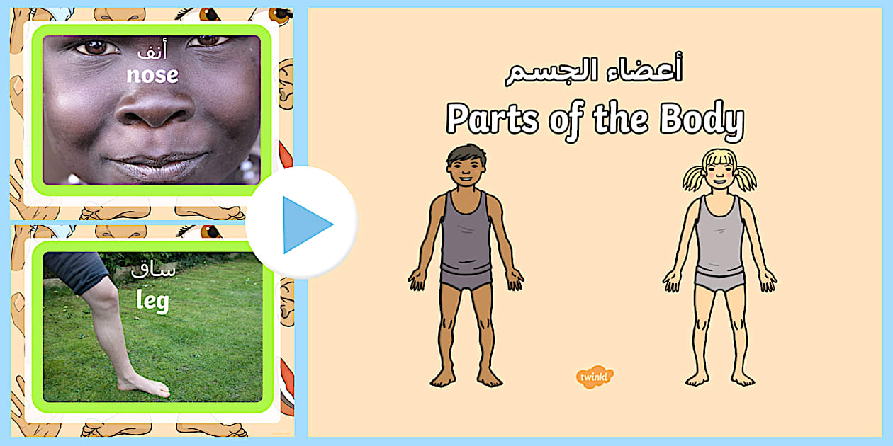 Parts of the Body PowerPoint Arabic/English - EAL Parts of the Body ...