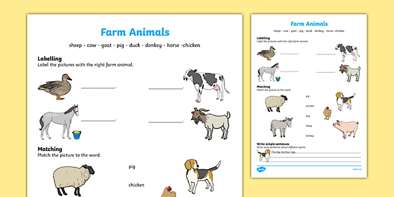 Farm Animals ESL Worksheet | ESL Farm Animals Vocabulary