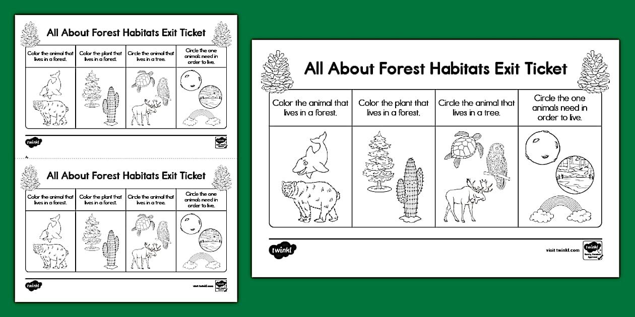 Early Childhood All About Forest Habitats Exit Ticket