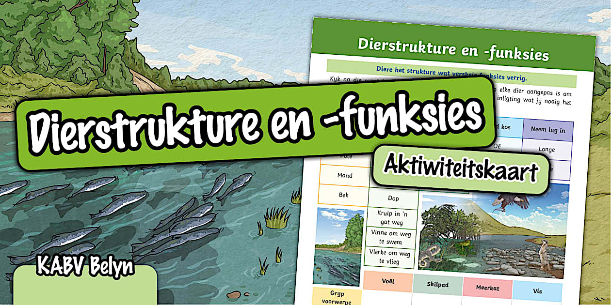 Graad 4 Natuurwetenskappe en Tegnologie - Kwartaal 1 - Strukture van ...