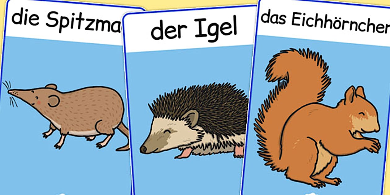 German Animals Display Posters (Hecho por educadores)