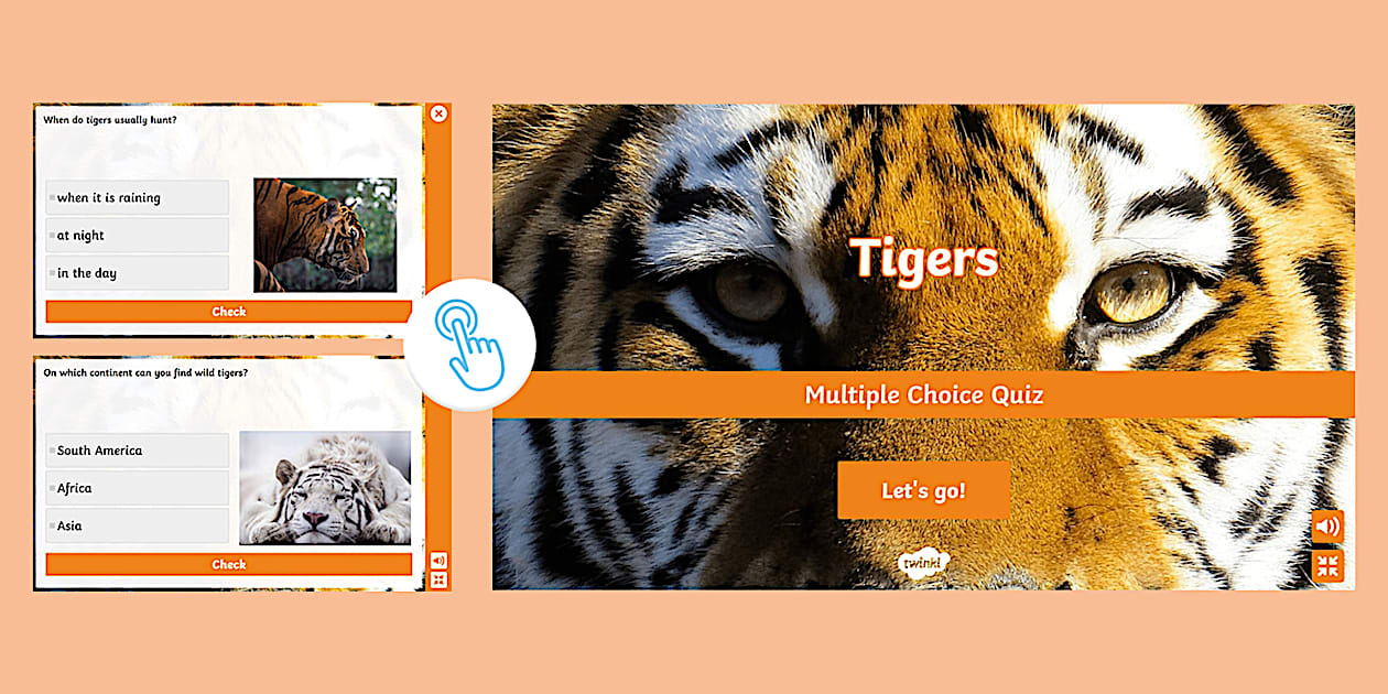 Tigers Interactive Quiz - KS1 (teacher made) - Twinkl