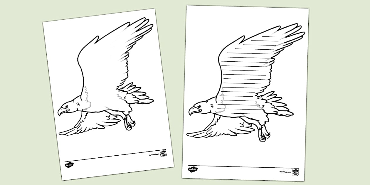 Eagle Writing Template (teacher made) - Twinkl