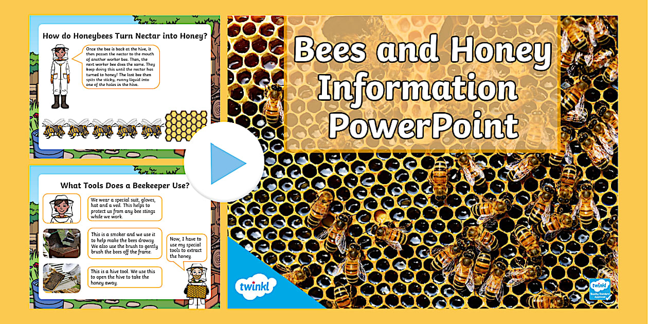 Bees and Honey Information PowerPoint - Twinkl