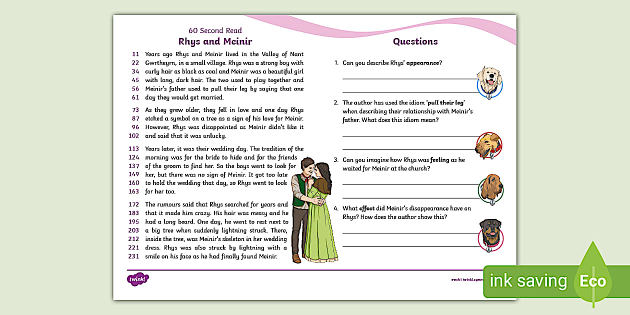 60 Second Reads Rhys and Meinir (Teacher-Made) - Twinkl