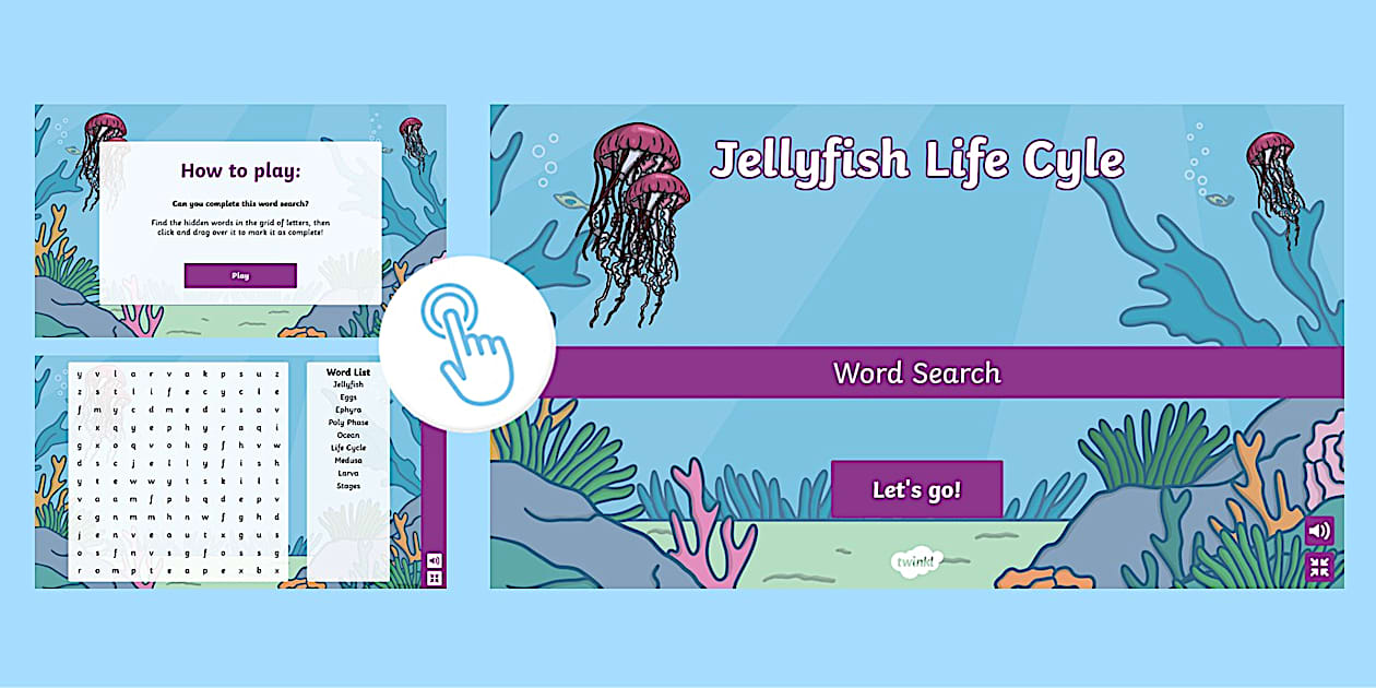 Jellyfish Life Cycle Interactive Word Search | Word Search
