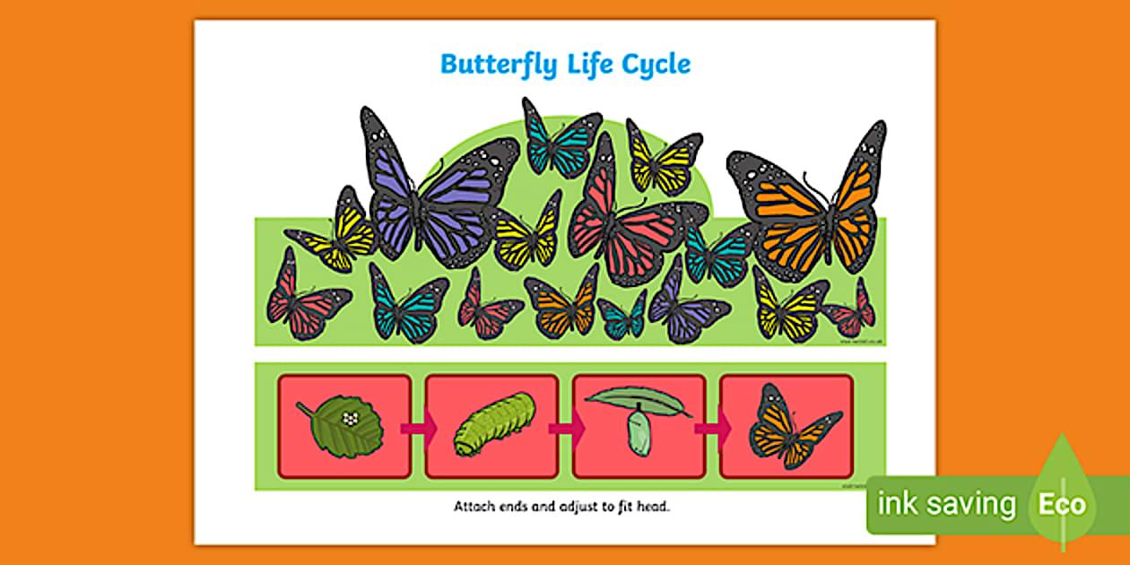 Black and White Butterfly Life Cycle Headband - Twinkl