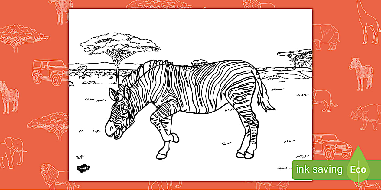 African Zebra Colouring Page (teacher made) - Twinkl