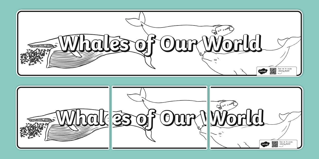 Whales of Our World Colouring Display Banner - Twinkl