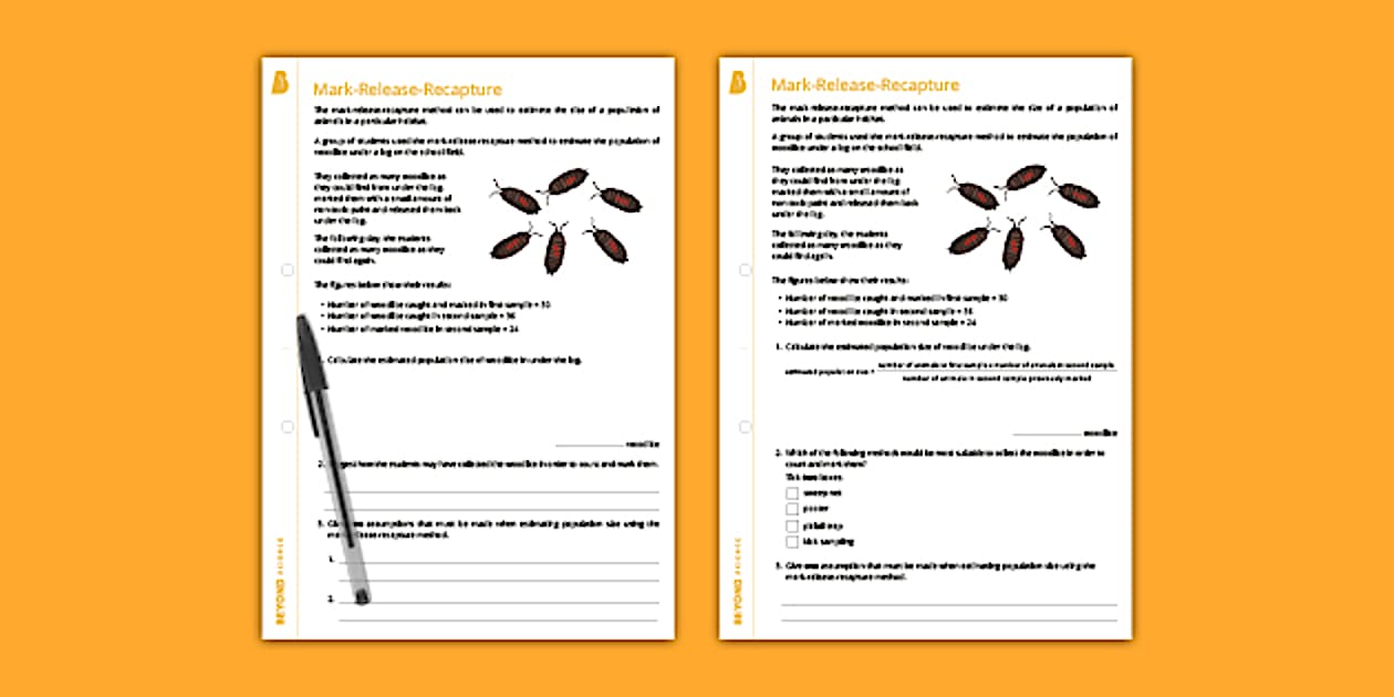 Mark-Release-Recapture Worksheet | KS3 Biology | Beyond