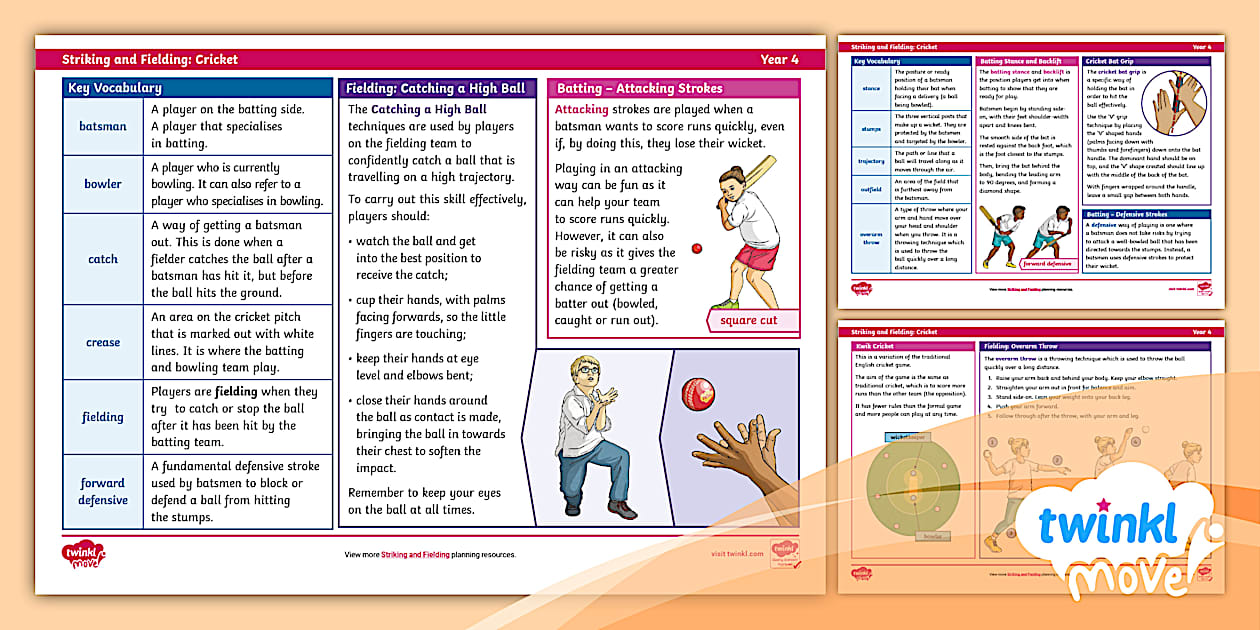 Cricket Knowledge Organiser I Year 4 I Twinkl Move PE KS2