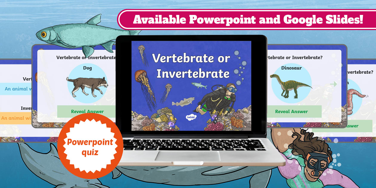 Vertebrates and Invertebrates PowerPoint