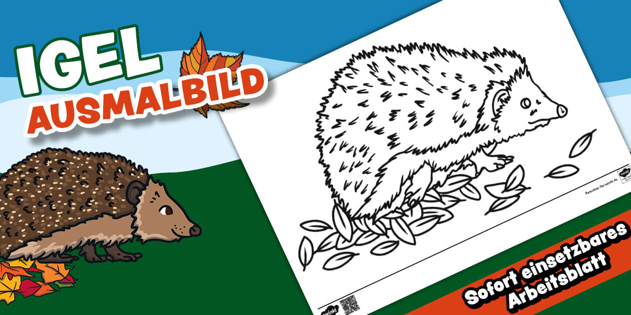 * NEW * Igel - Ausmalbild (teacher made) - Twinkl