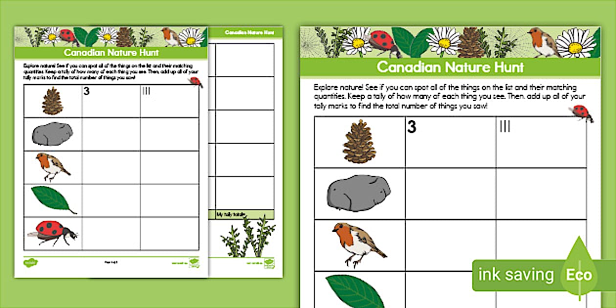 Canadian Nature Hunt Activity - K-2 (teacher made) - Twinkl