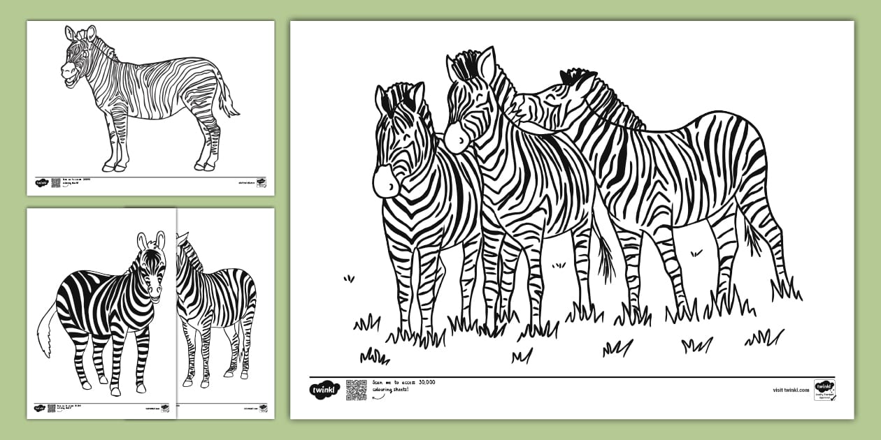 Zebra Colouring Pages (teacher made) - Twinkl