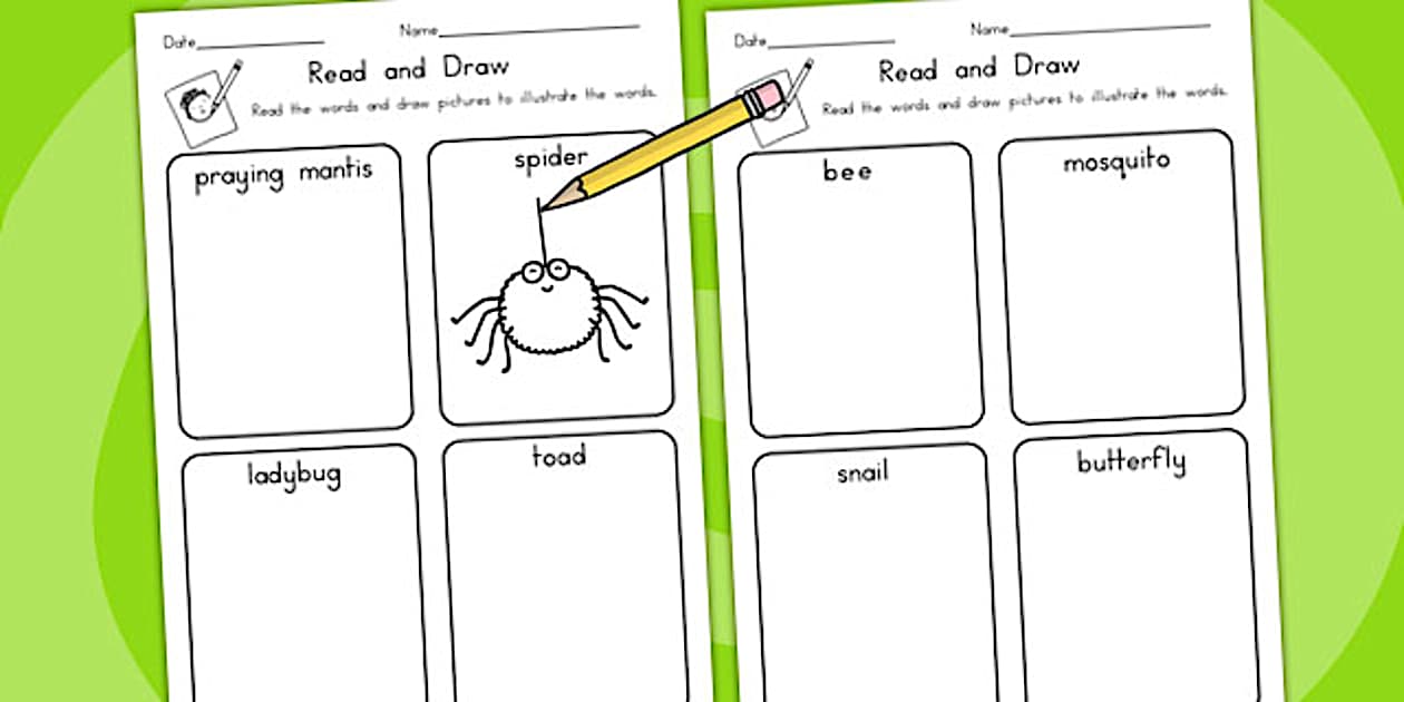 Minibeasts Read and Draw Worksheet - Twinkl