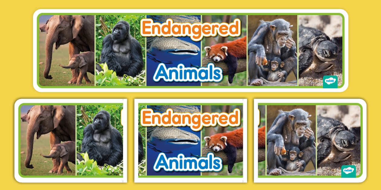 Endangered Animals Banner (teacher made) - Twinkl