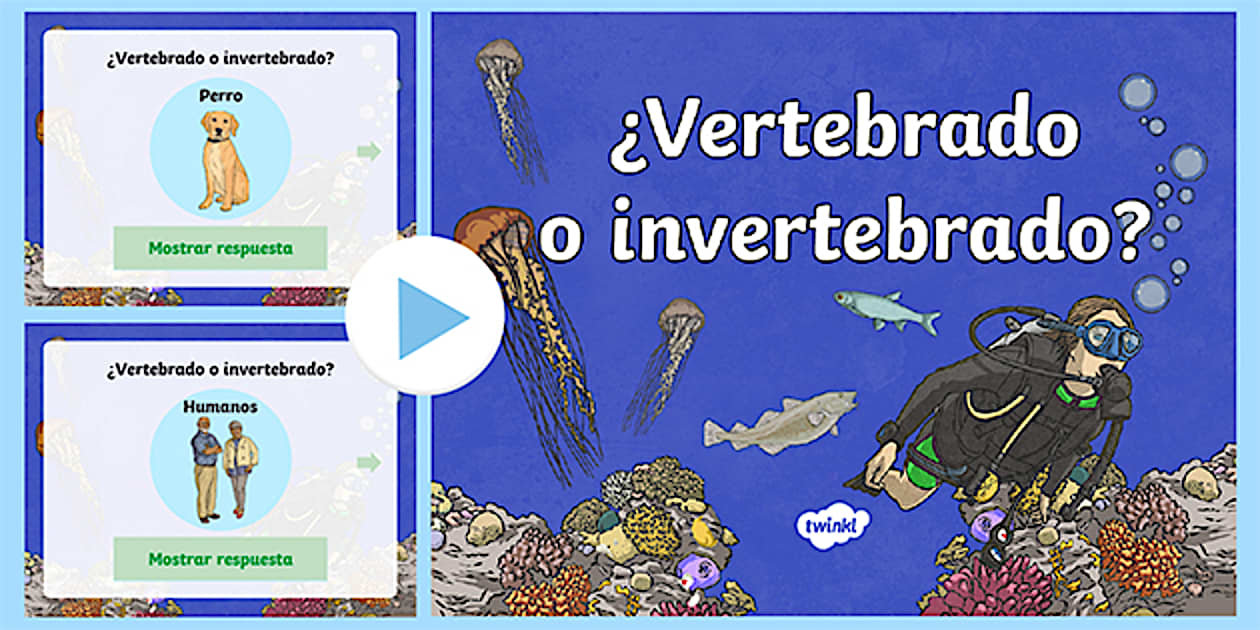 Presentación: ¿Vertebrado o invertebrado? - Twinkl