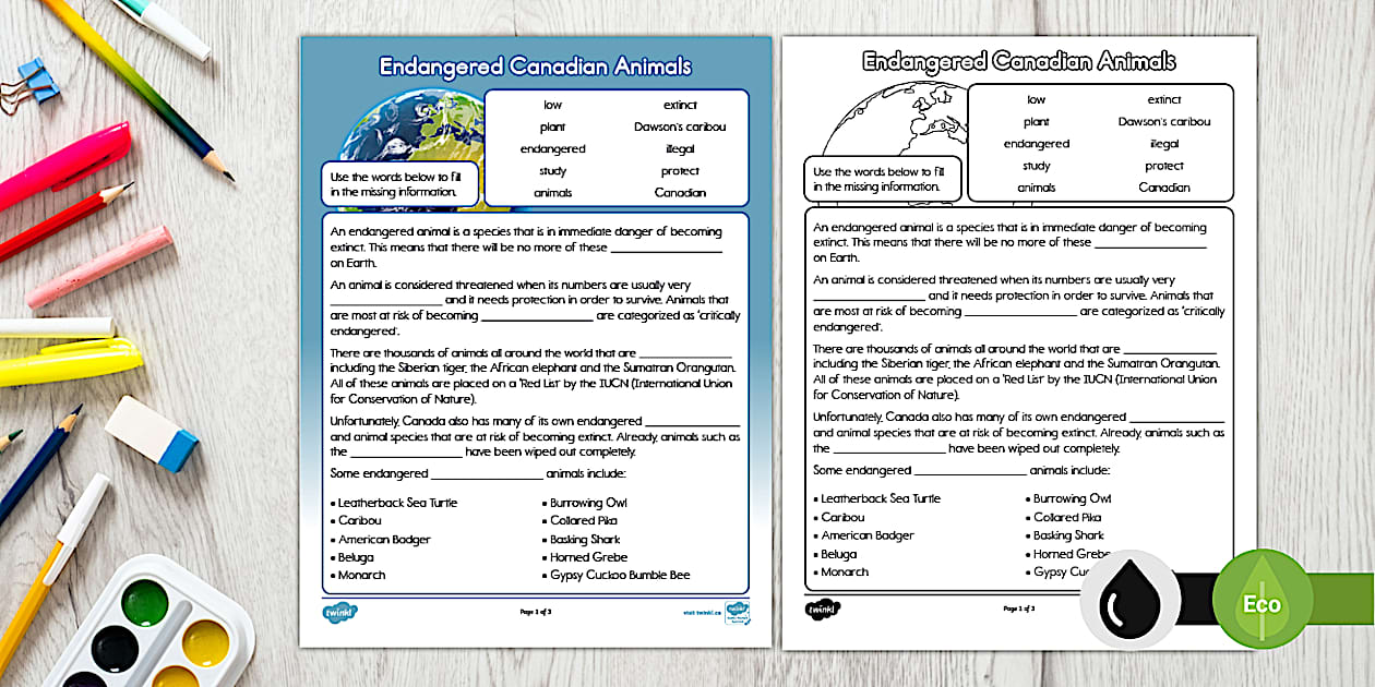 Endangered Animals Worksheet for Grade 3 I Twinkl Canada