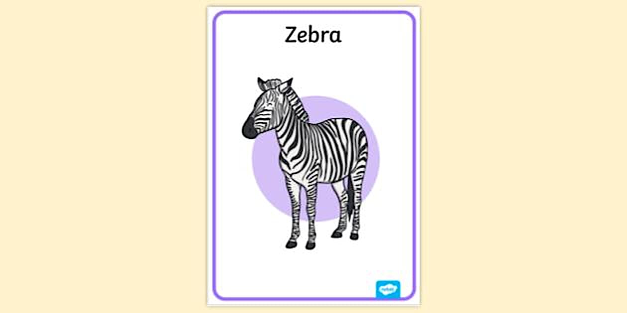 Zebra Poster | Display Posters | Primary Resources - Twinkl