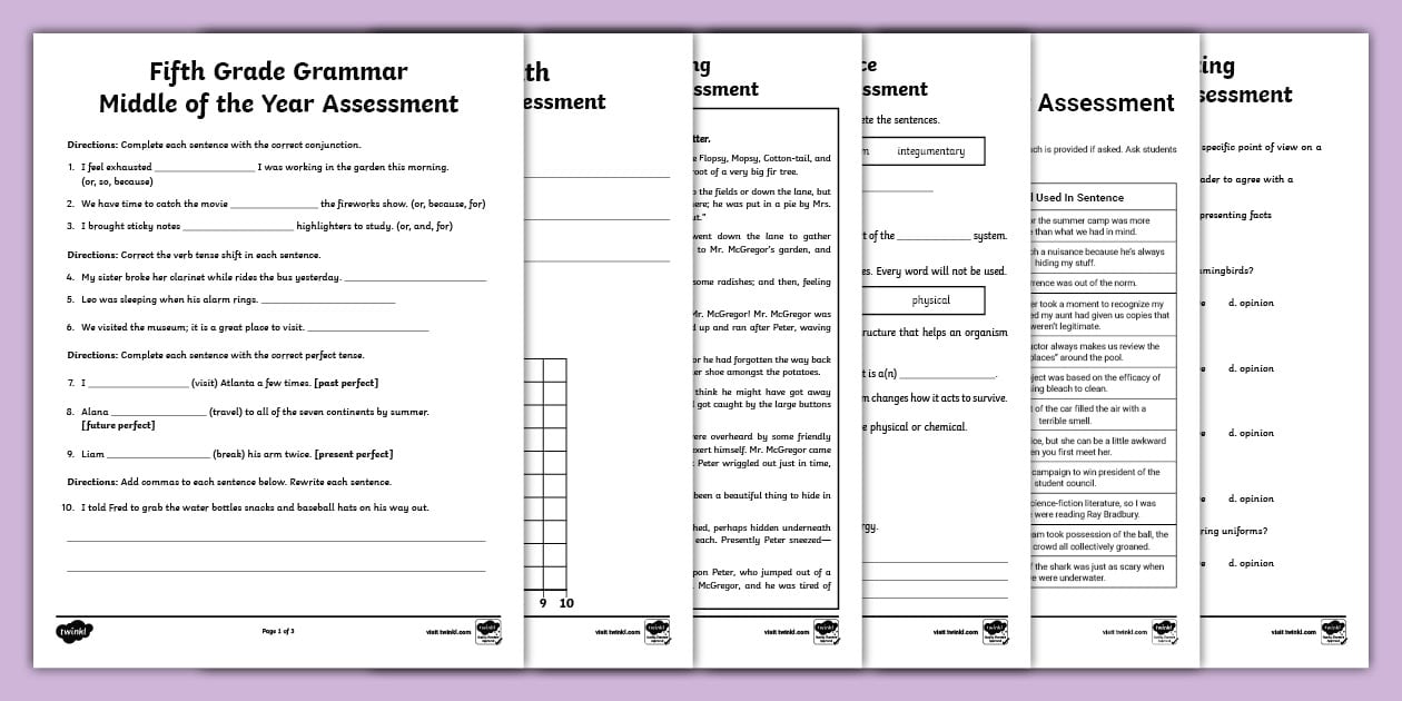 Fifth Grade Middle of the Year Assessments Pack - Twinkl
