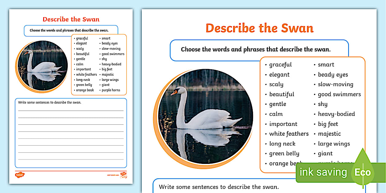 Describe the Swan Writing Activity - Twinkl