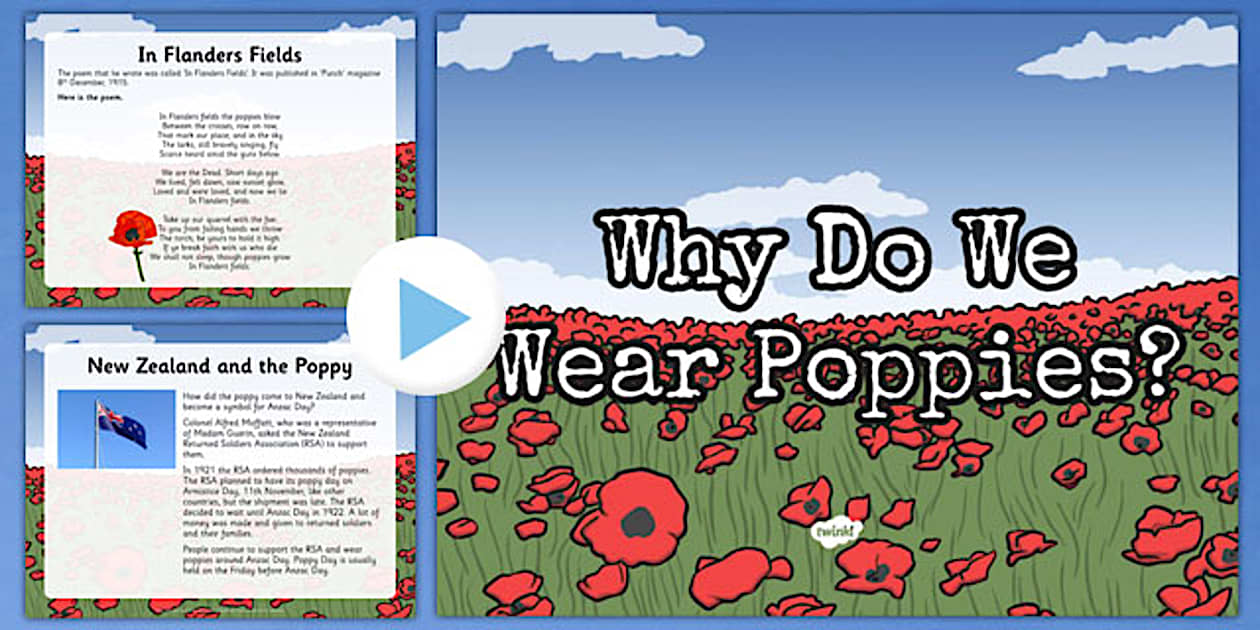 Why Do We Wear Poppies? PowerPoint New Zealand, Anzac, Poppy