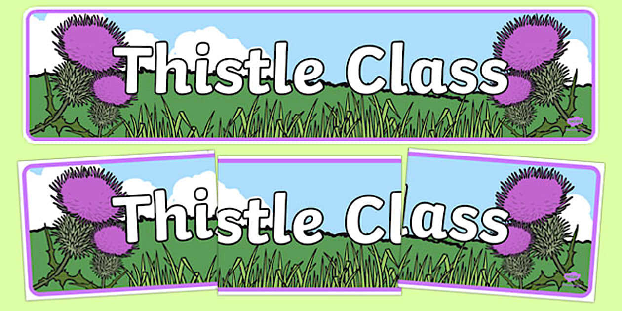 👉 Thistle Class Display Banner (Teacher-Made) - Twinkl