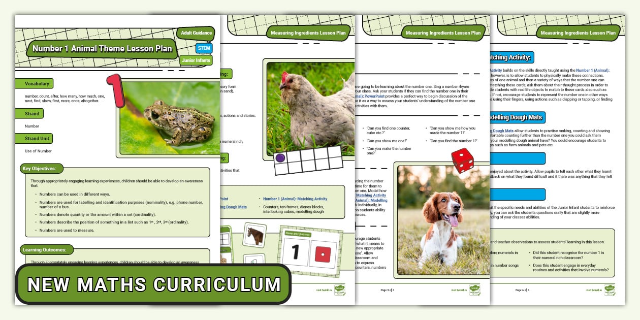 Number One Animal Lesson Plan | Twinkl Ireland - Twinkl