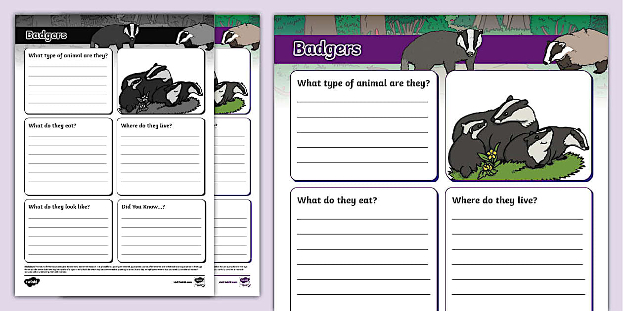 Badgers Fact File Template, Badger Writing Frame - Twinkl