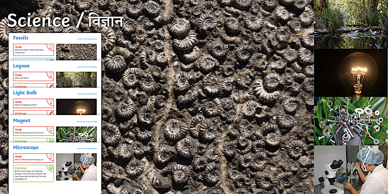Imagine Science KS1 Resource Pack English/Hindi - Twinkl