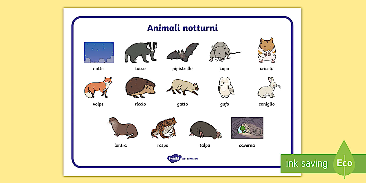 Gli animali notturni Vocabolario Illustrato (teacher made)