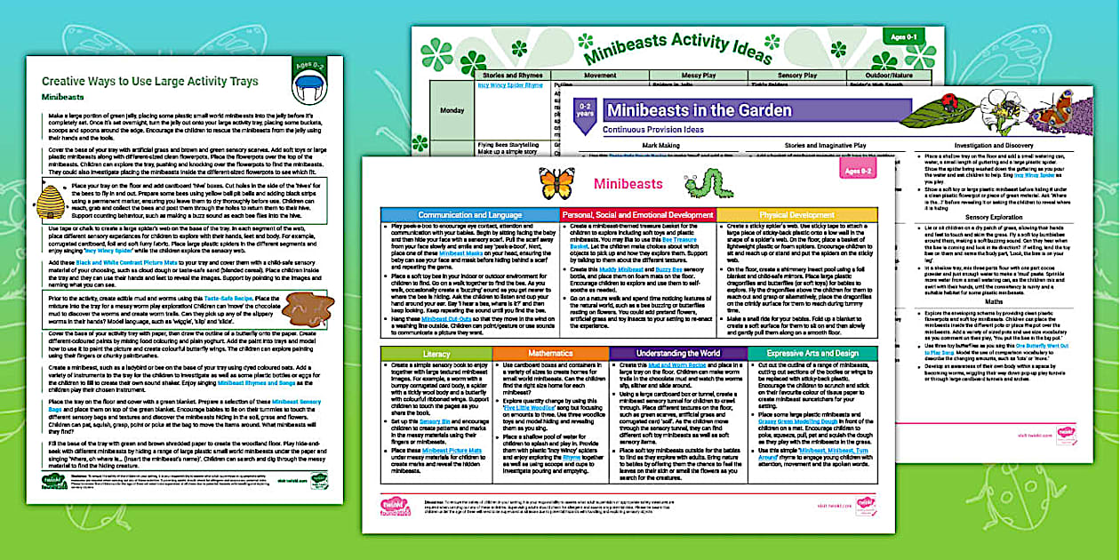 EYFS Ages 0-2 Minibeasts Bumper Planning Pack | Twinkl