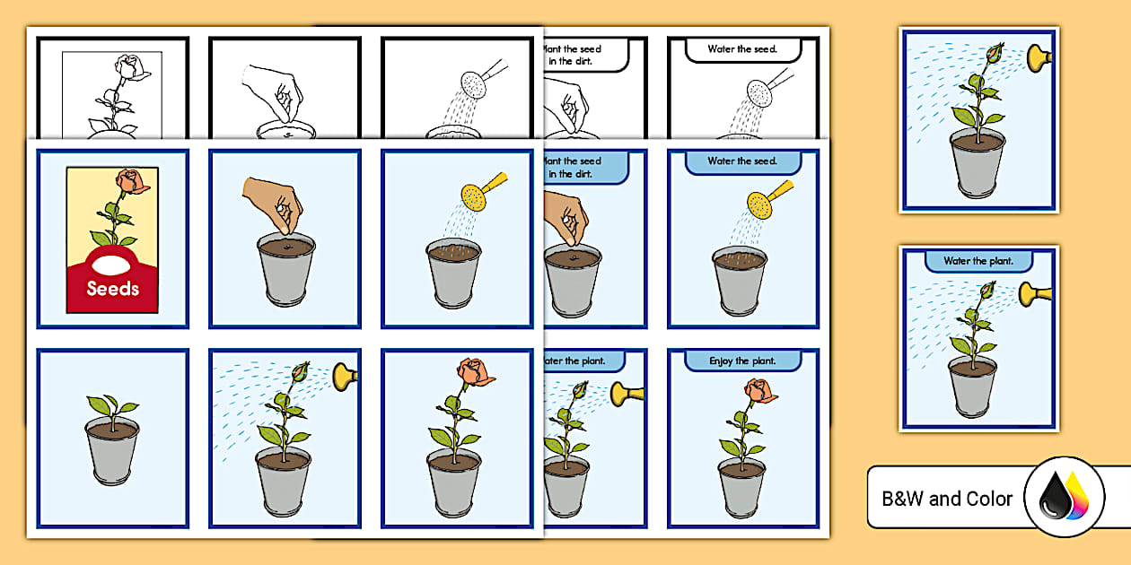 Planting a Plant Multi-Step Sequencing Cards (teacher made)