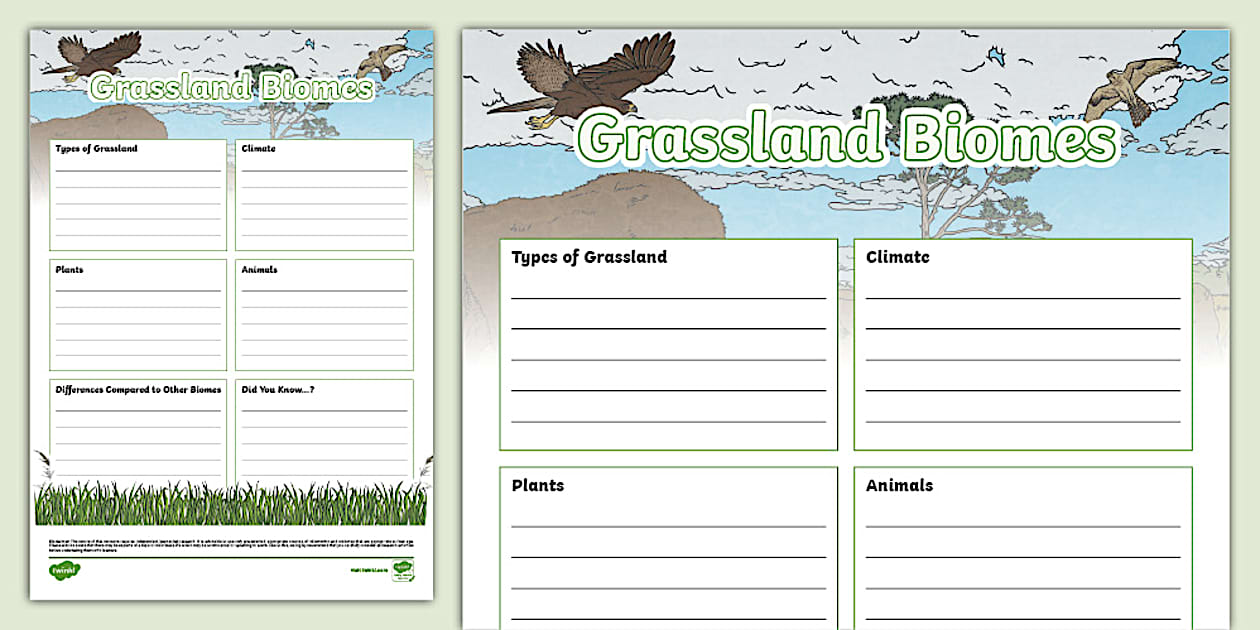 Grassland Biomes Fact File Template (teacher made) - Twinkl