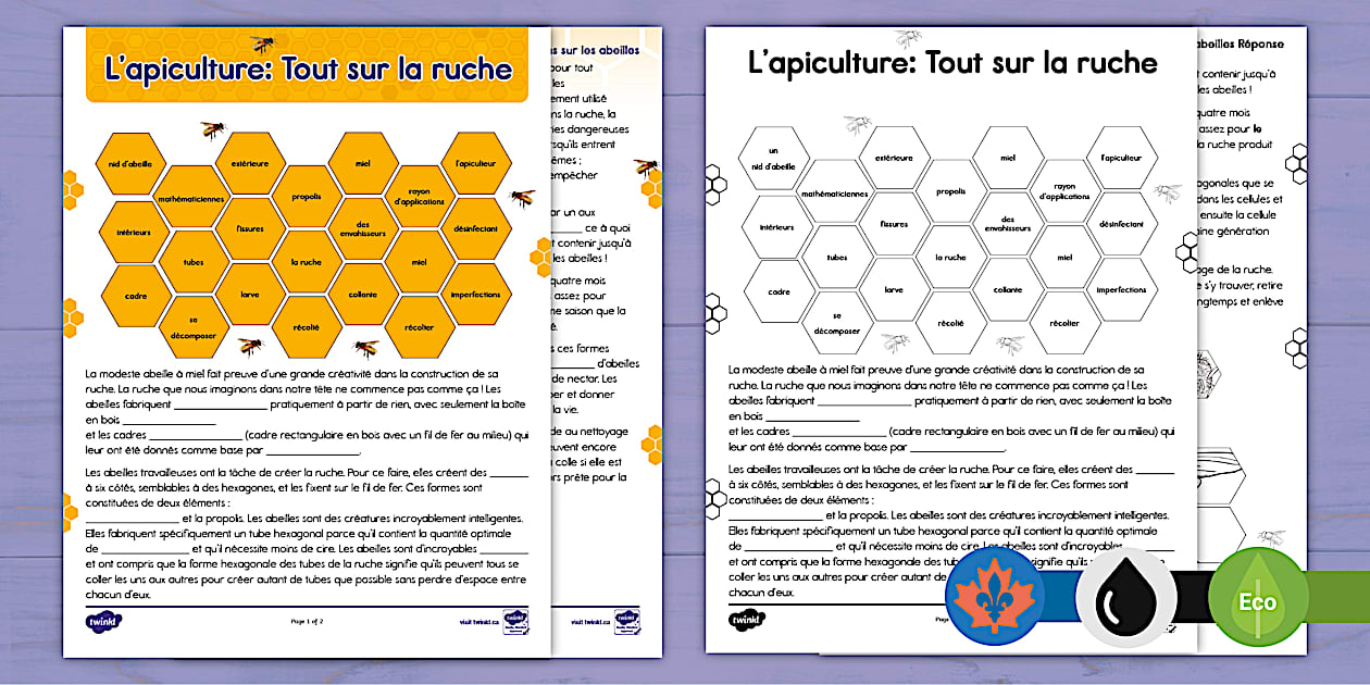 Beekeeping: All About the Hive Cloze Activity French