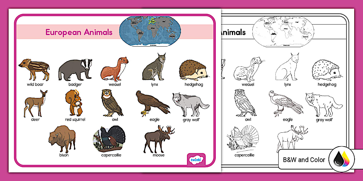 European Animals Word Mat (teacher made) - Twinkl