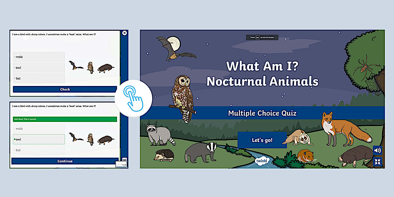 What Am I? Nocturnal Animals Interactive Quiz (Teacher-Made)