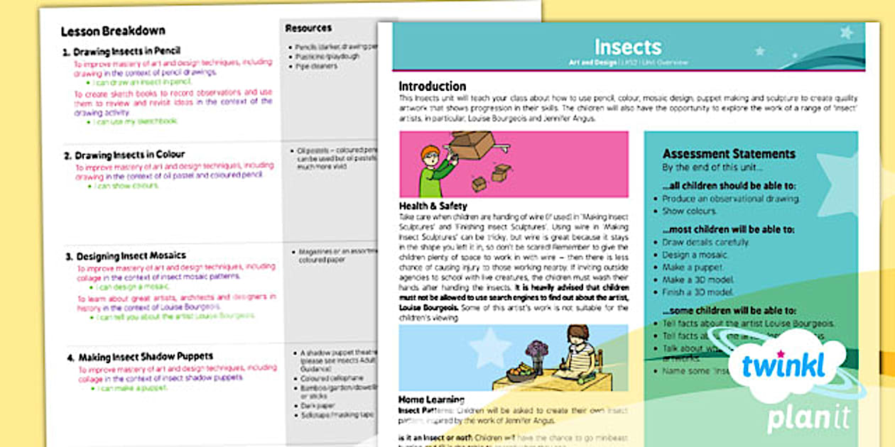 Art: Insects LKS2 Planning Overview (Teacher-Made) - Twinkl