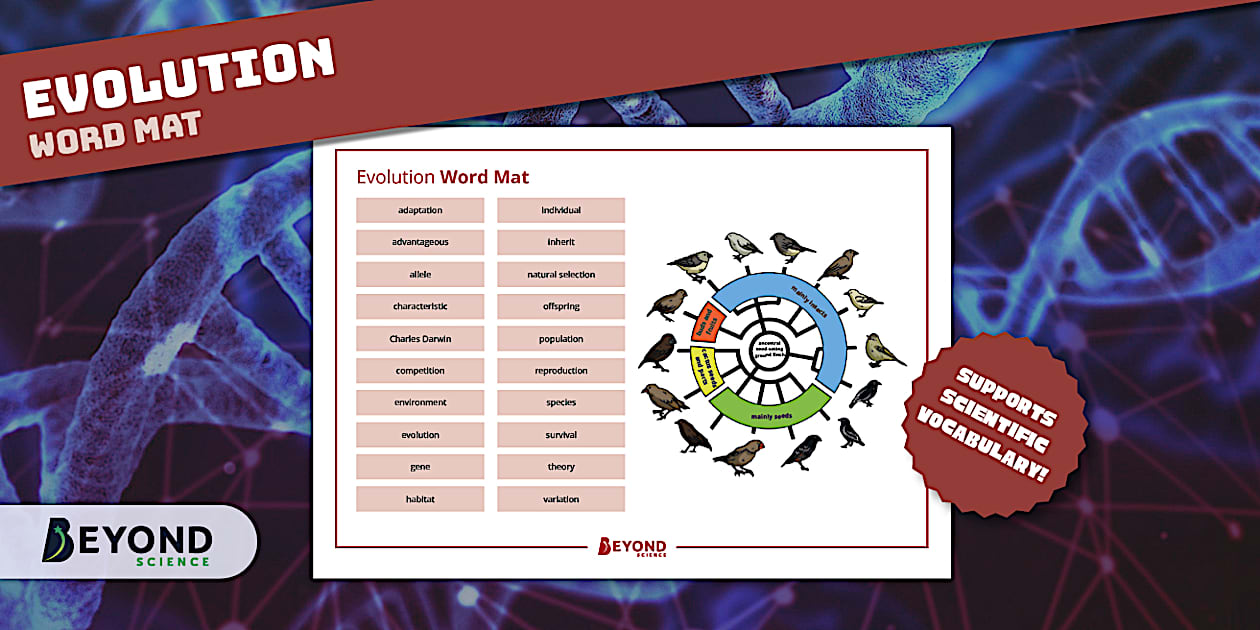 Evolution Word Mat