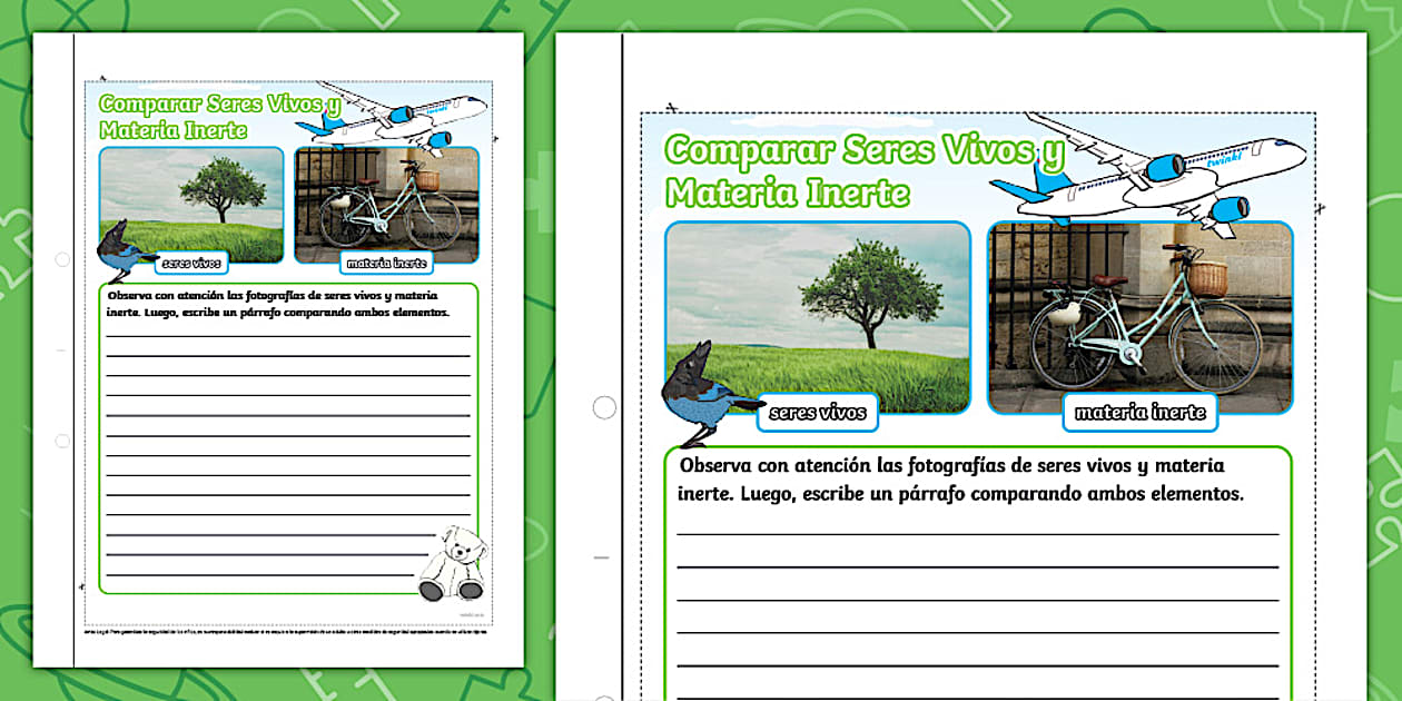 Guía de Trabajo: Comparación entre Seres Vivos y Materia Inerte