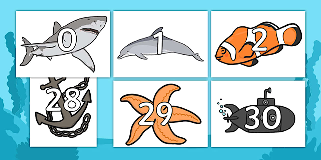 Under the Sea Themed 0-30