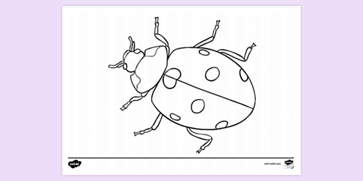 Ladybug Page to Colour | Colouring Sheets - Twinkl