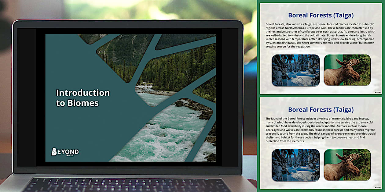 Biomes Introductory PowerPoint (teacher made) - Twinkl