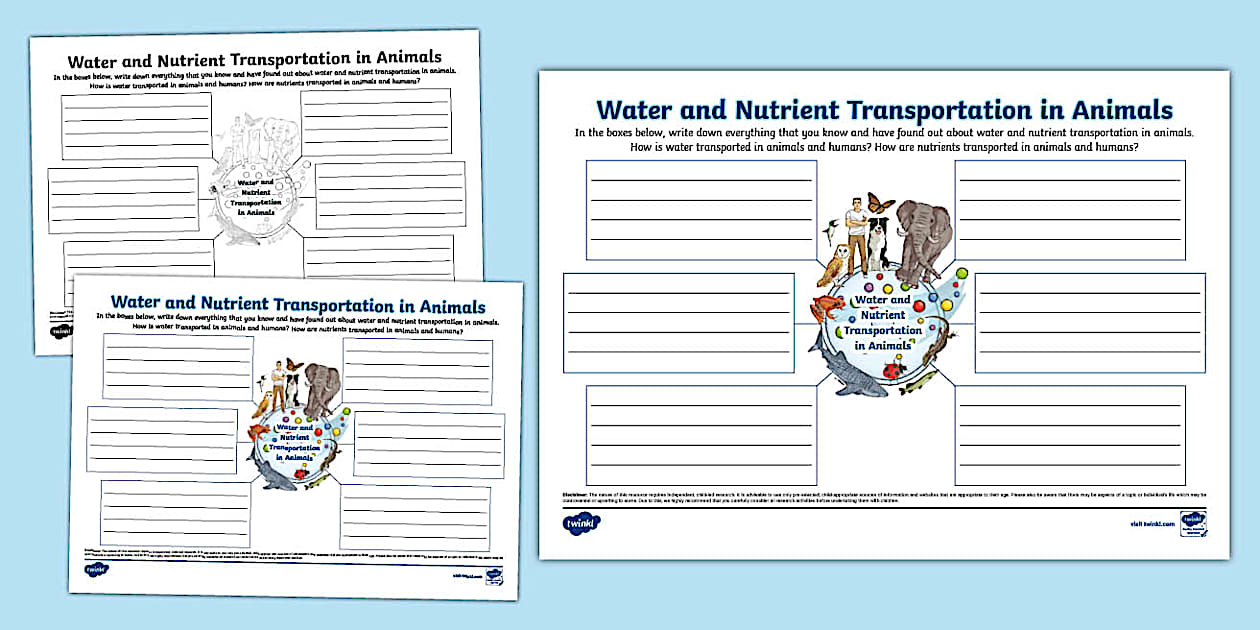Water and Nutrient Transportation in Animals Mind Map