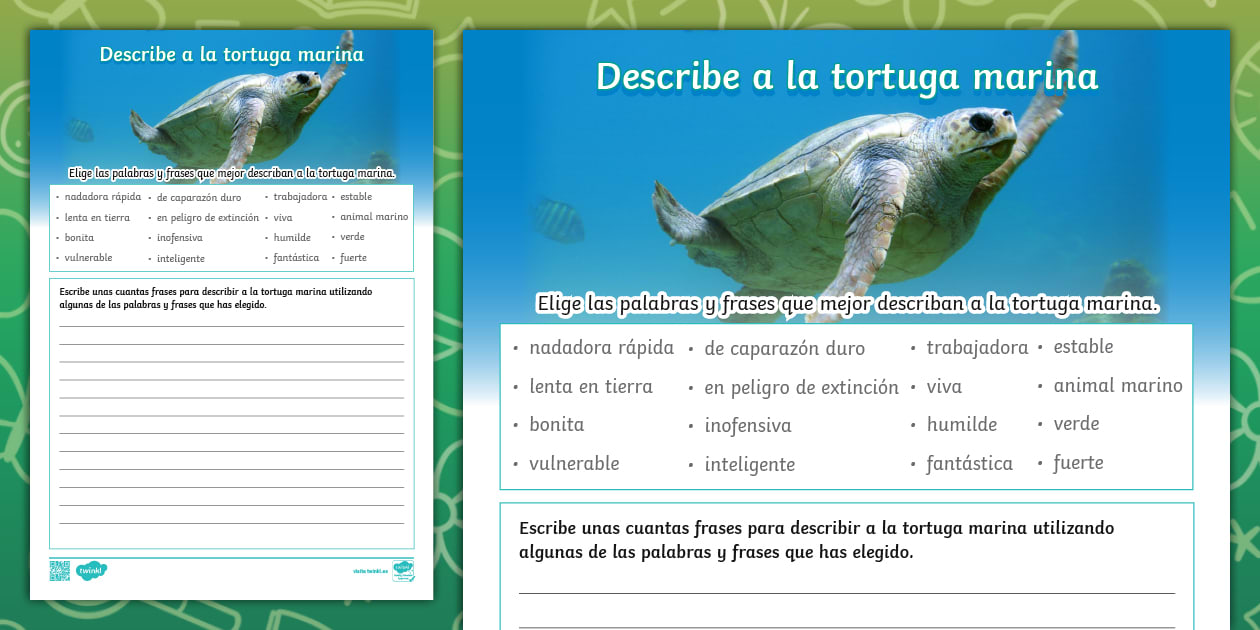 Ficha de actividad: Describe a la tortuga marina - Twinkl