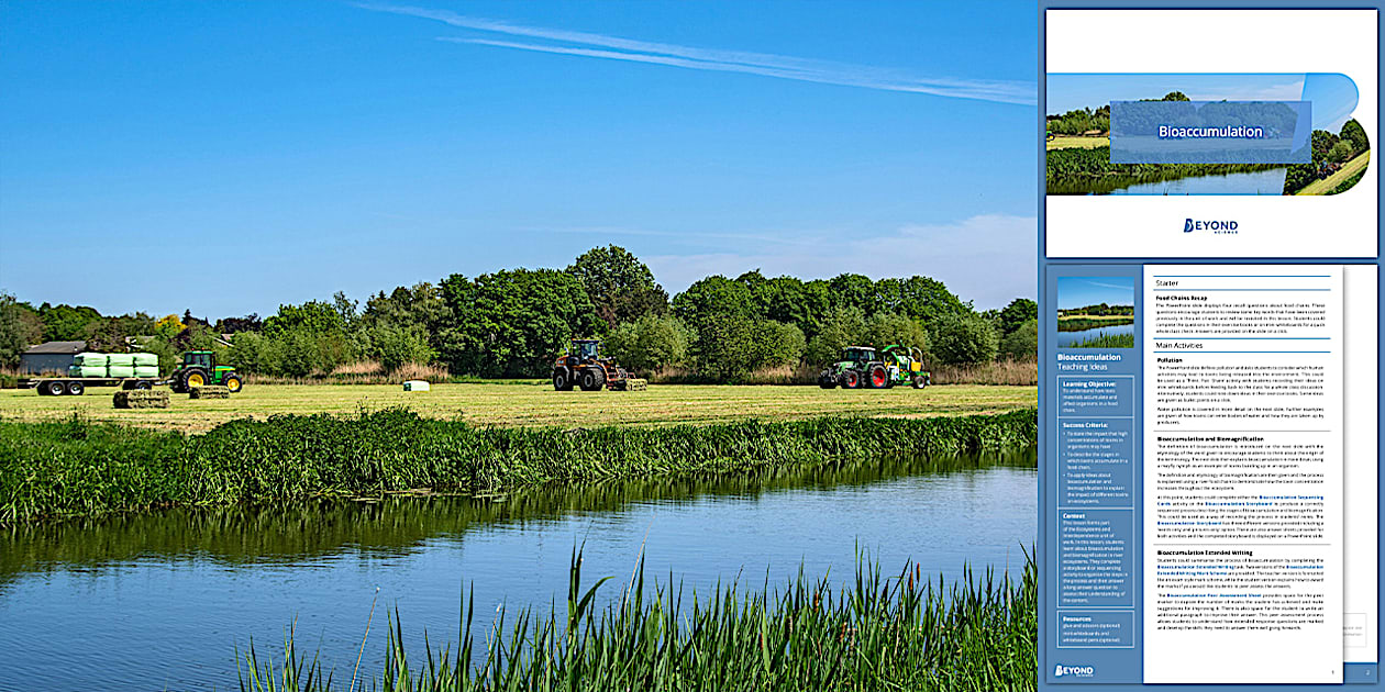 Bioaccumulation Lesson Pack | KS3 Biology | Beyond Science