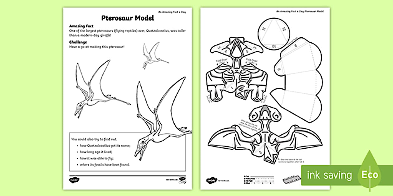 Pterosaur Model Worksheet / Worksheet - Twinkl
